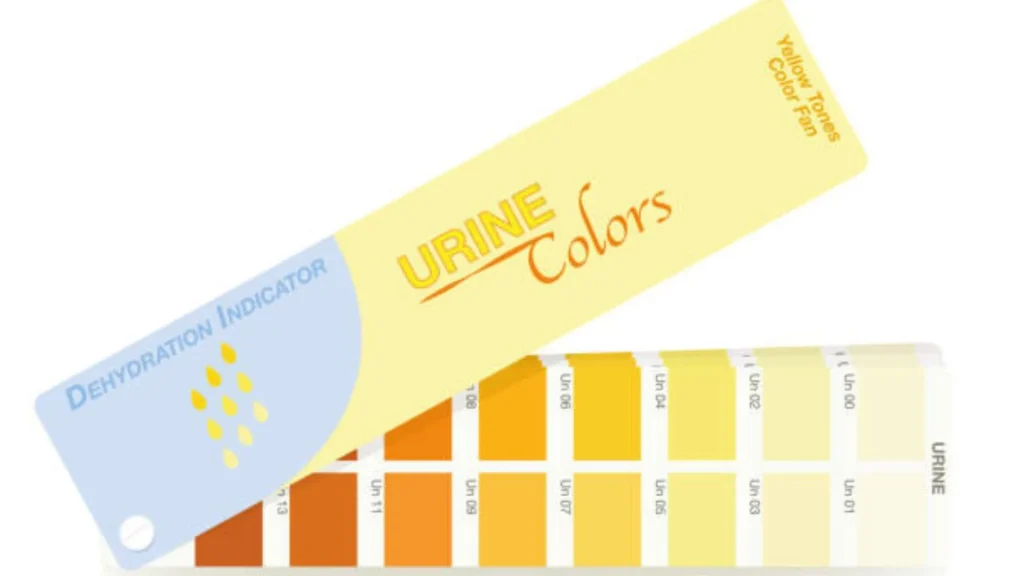 Perbedaan Warna Urin Normal dan Abnormal Berdasarkan Panduan Klinik ...
